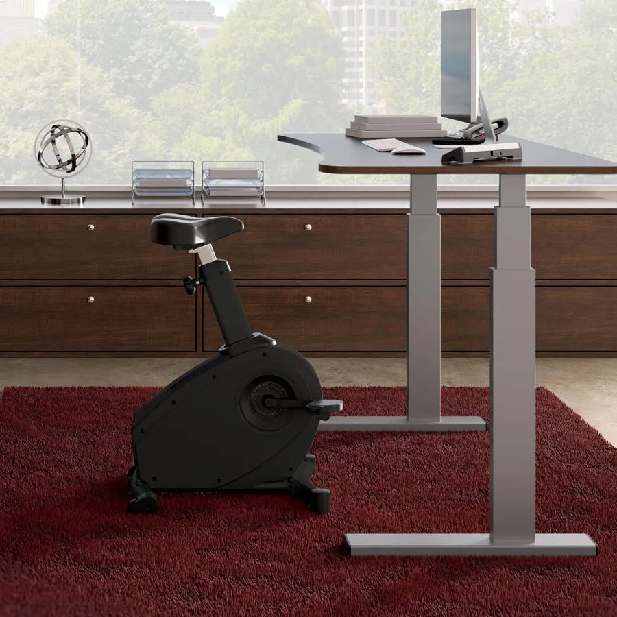 Bike Desk Buying Guide – LifeSpanFitness